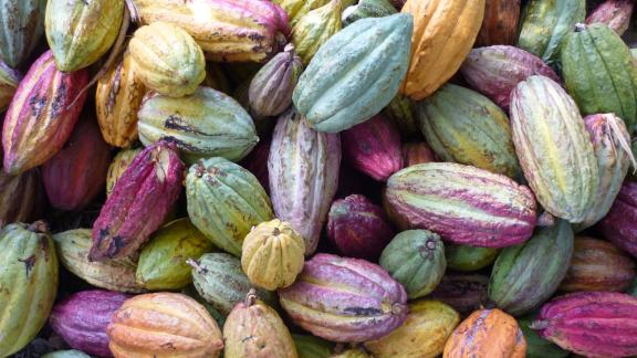 Cabossa - Radio Monte Carlo