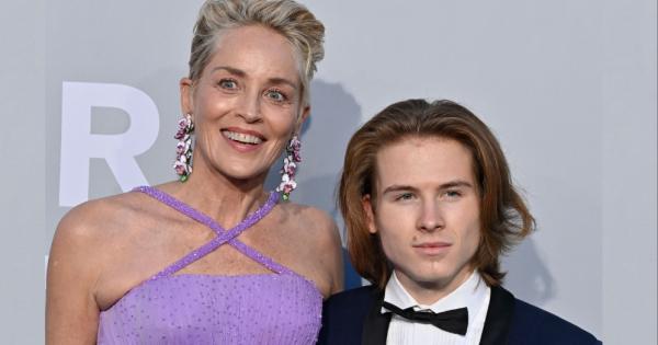 Sharon Stone, il figlio Roan e Basic Istinct: la rivelazione scioccante ...