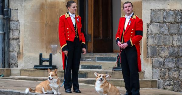 Addio corgi della Regina! A Buckingham Palace arrivano i jack russell ...